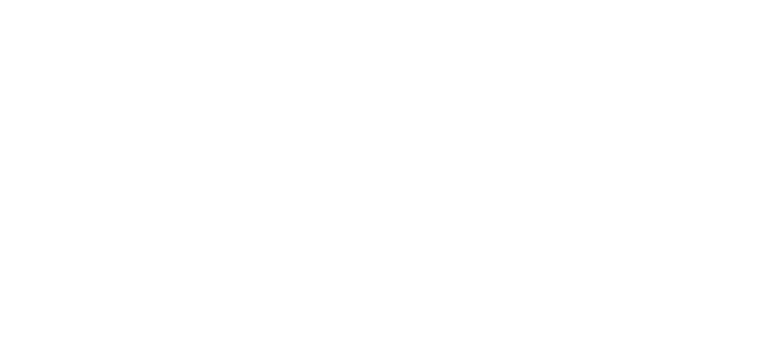 Guardforce Global - Security & Related Services