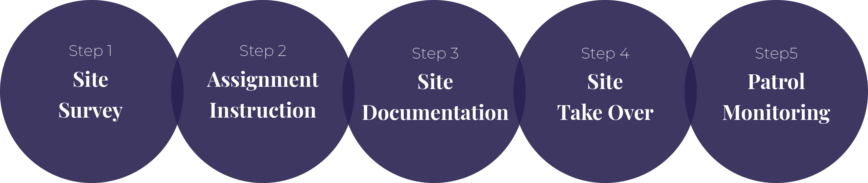 Our Methods - Guardforce Global