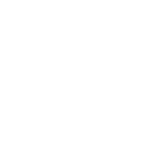 Training & Development - Guardforce Global